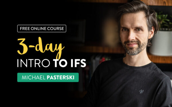 IFS Level 1 Training Online Approved by IFS Institute