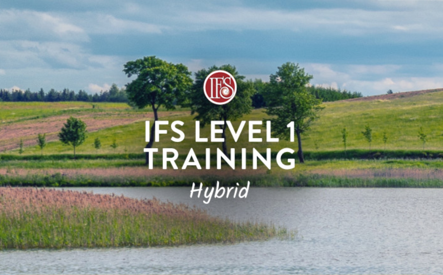 IFS Therapy Training - Life Architect