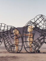 IFS Level 1 Training Online Approved by IFS Institute