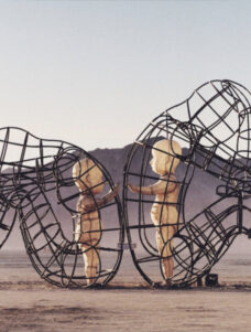 IFS Level 1 Training Online Approved by IFS Institute