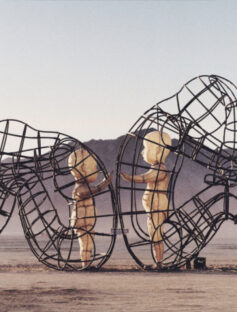 IFS Level 1 Training Online Approved by IFS Institute