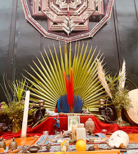 Sacred Pathways IFS & Amazonian Plant Teachers Retreat in Brazil - Life ...