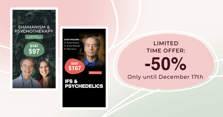 IFS Level 1 Training Online Approved by IFS Institute