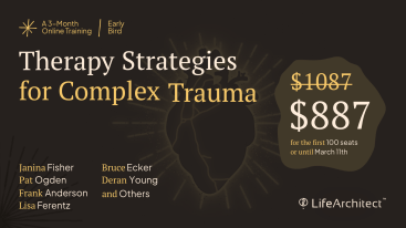 IFS Level 1 Training Online Approved by IFS Institute