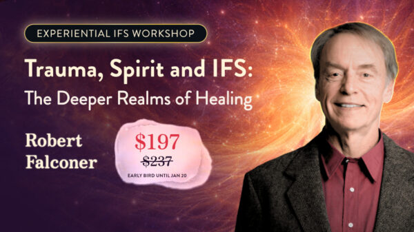 IFS Level 1 Training Online Approved by IFS Institute
